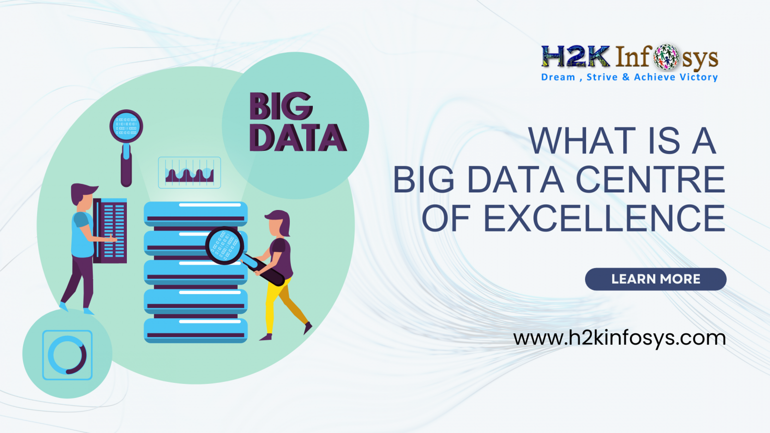What is a Big Data Centre of Excellence