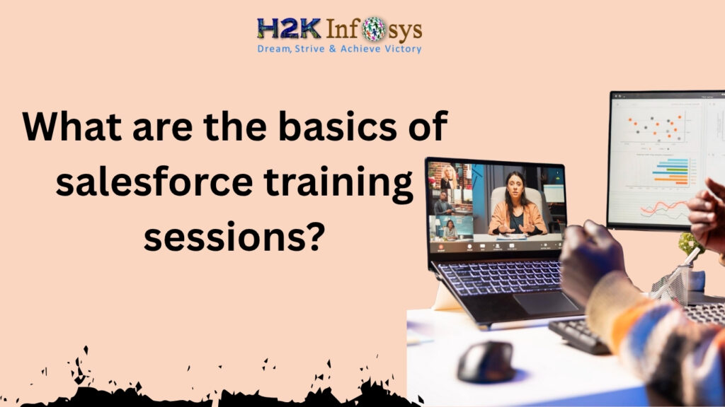 What are the basics of salesforce training sessions?